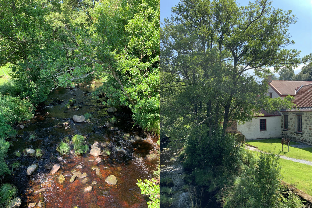 The Muckle Spate – Knockando Woolmill